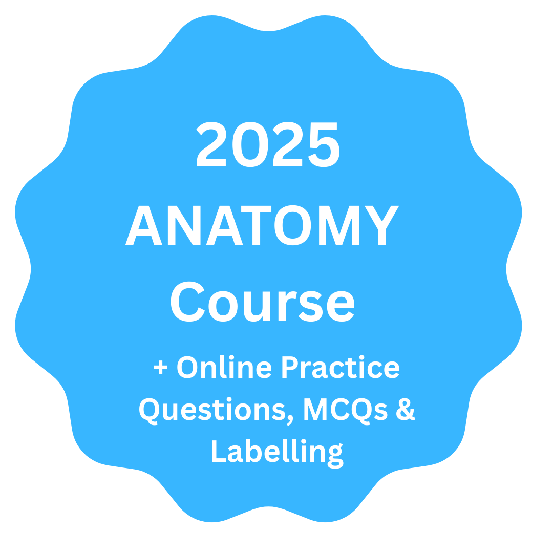2025 Intensive Radiology Anatomy Course + 2024 Anatomy Course ...