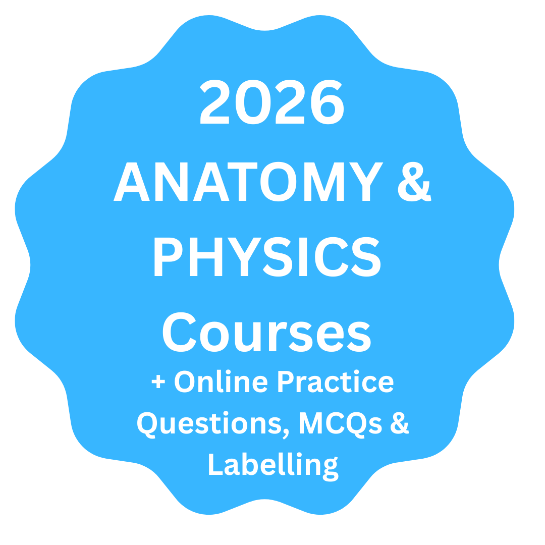 2026 Radiology Anatomy & Physics Course Combo – Informed Medics